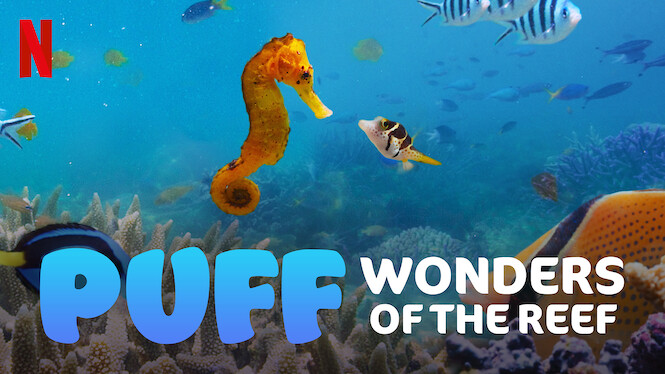 Puff: Wonders of the Reef (2021) - Netflix | Flixable